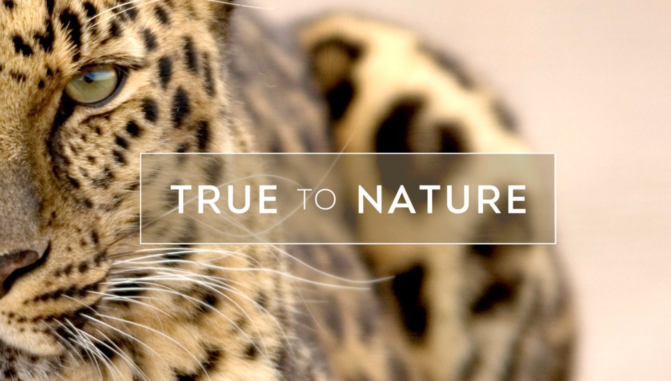 True To Nature to produce Sky Nature original Shark with Steve ...