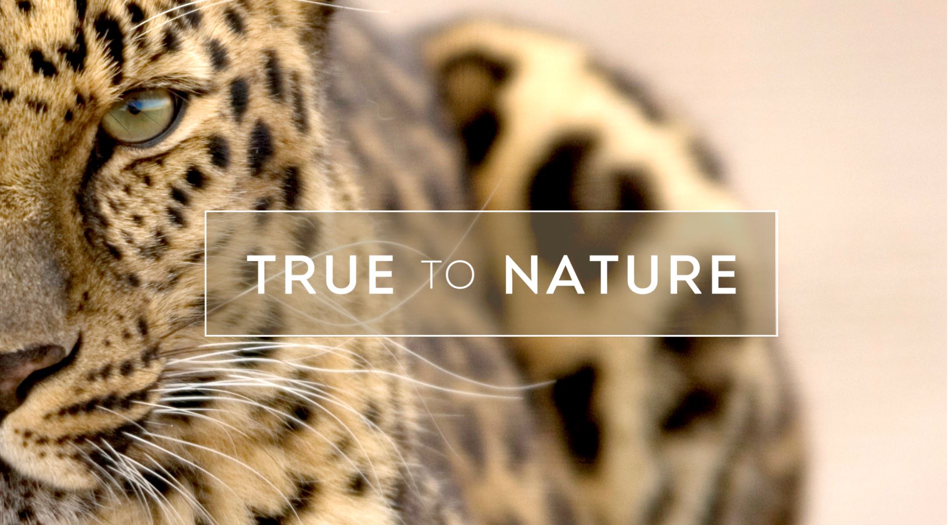 Helion Partners advises True to Nature - Helion Partners